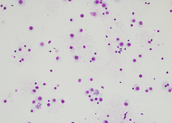 杭州德适生物科技有限公司