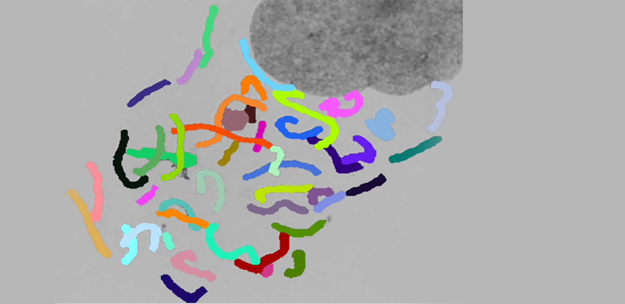杭州德适生物科技有限公司