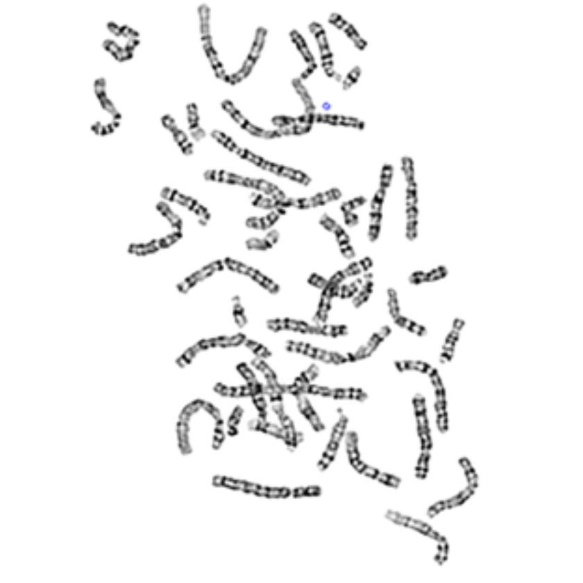 杭州德适生物科技股份有限公司