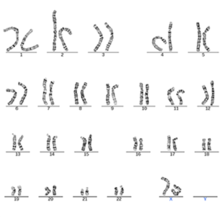 杭州德适生物科技有限公司
