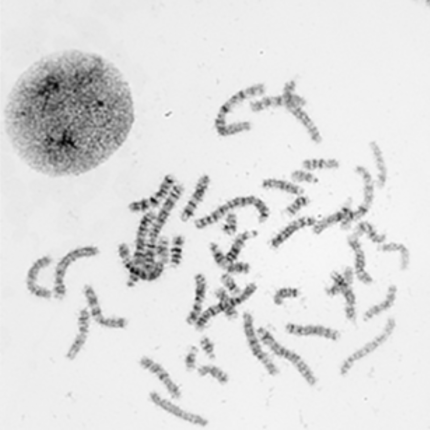 杭州德适生物科技股份有限公司