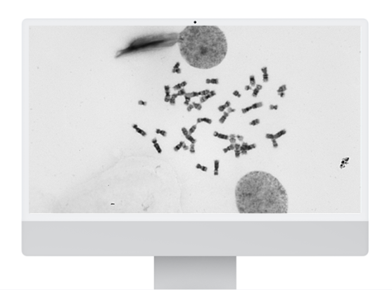 杭州德适生物科技股份有限公司