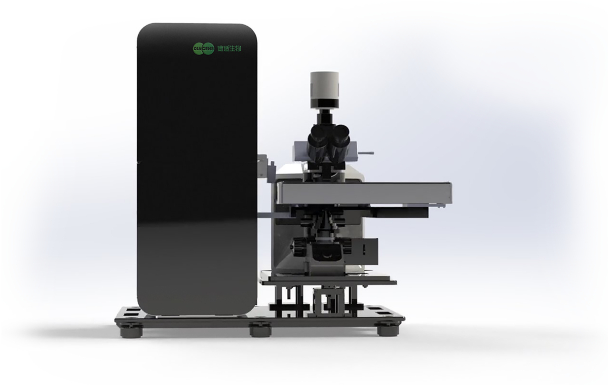 杭州德适生物科技有限公司